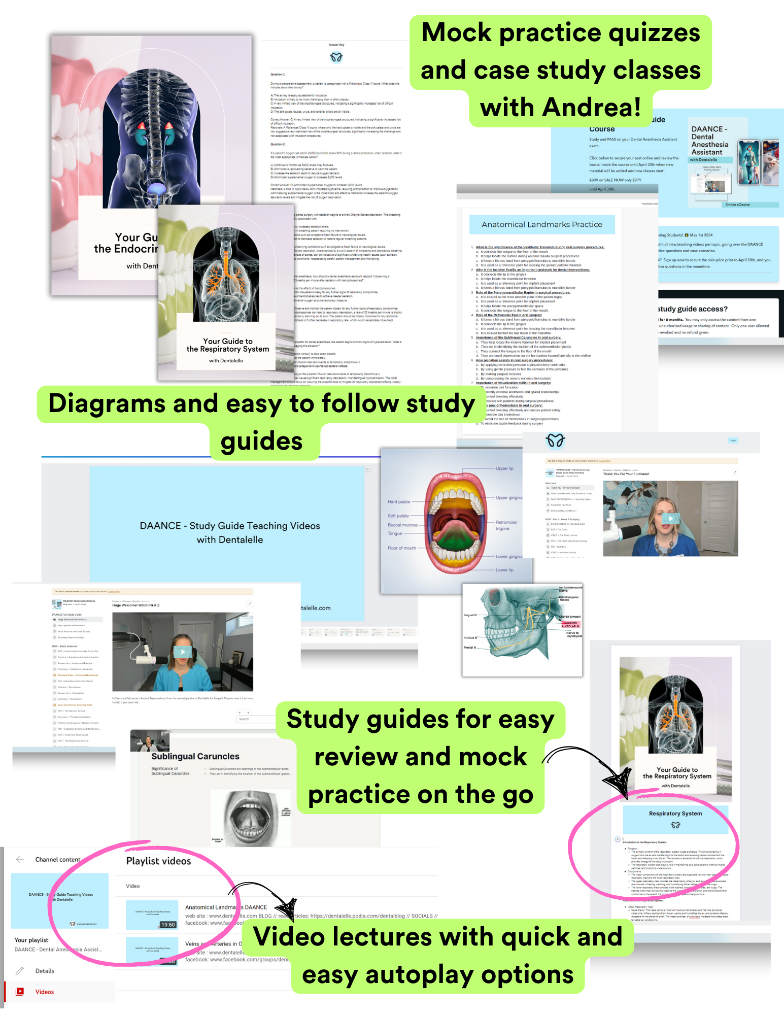 DAANCE Study Guide Course